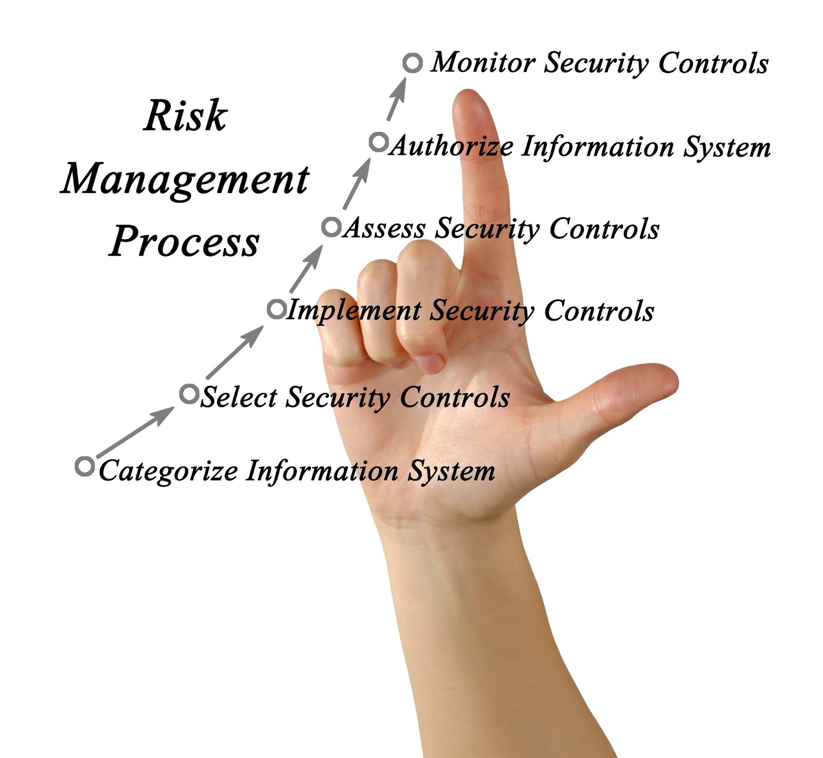 Cybersecurity Blog: Risk Management Framework for Cloud Computing Security