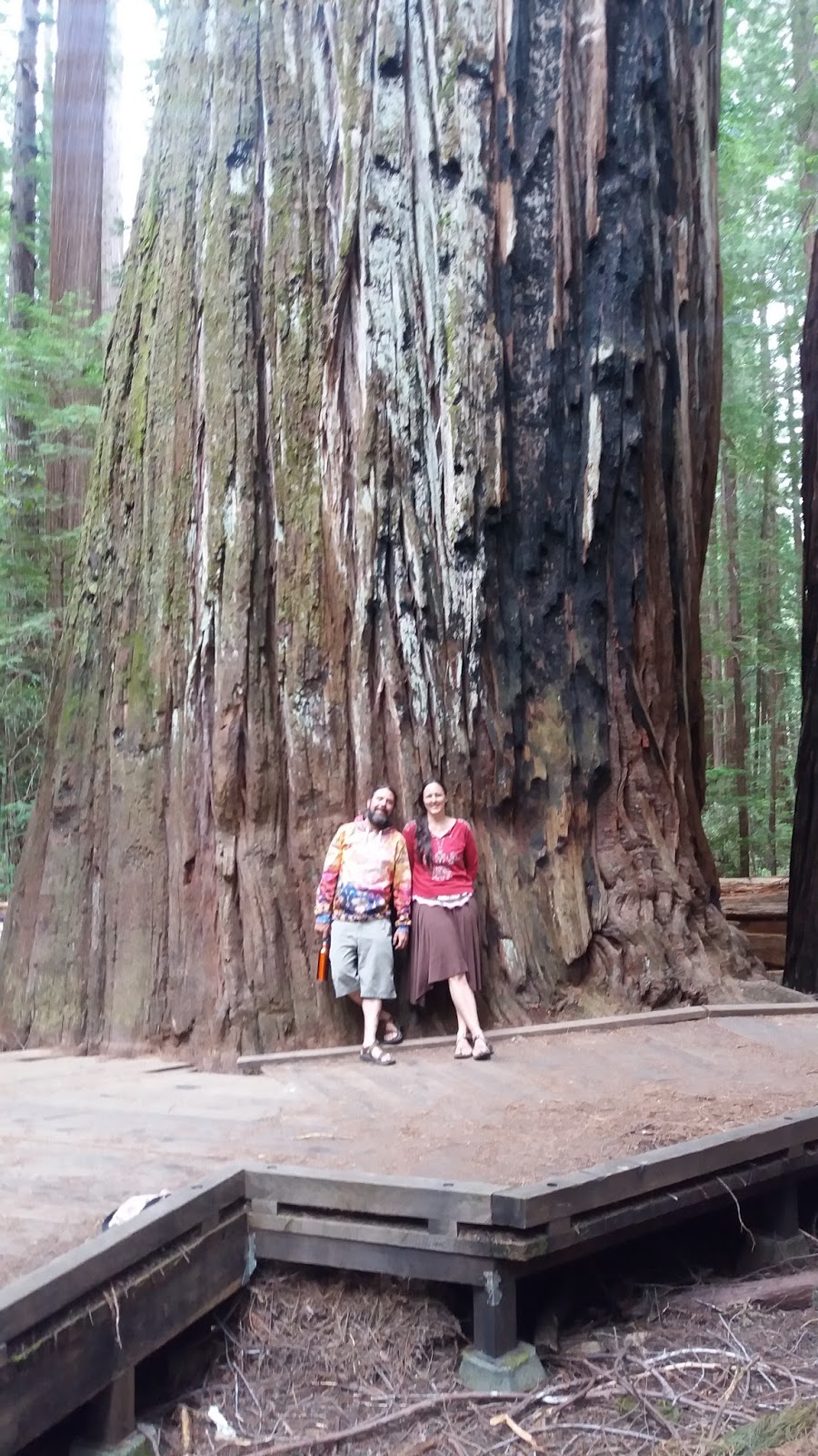 The Root Children: 2017