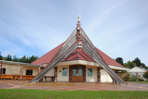 Introducing Maori Lifestyles: Conserving Taonga For the Future