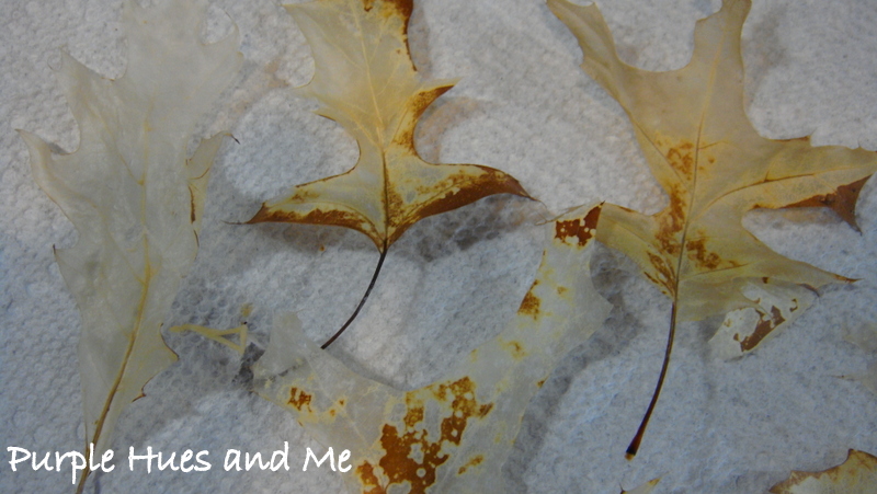 -Crafting, DIY, Projects, Decorating