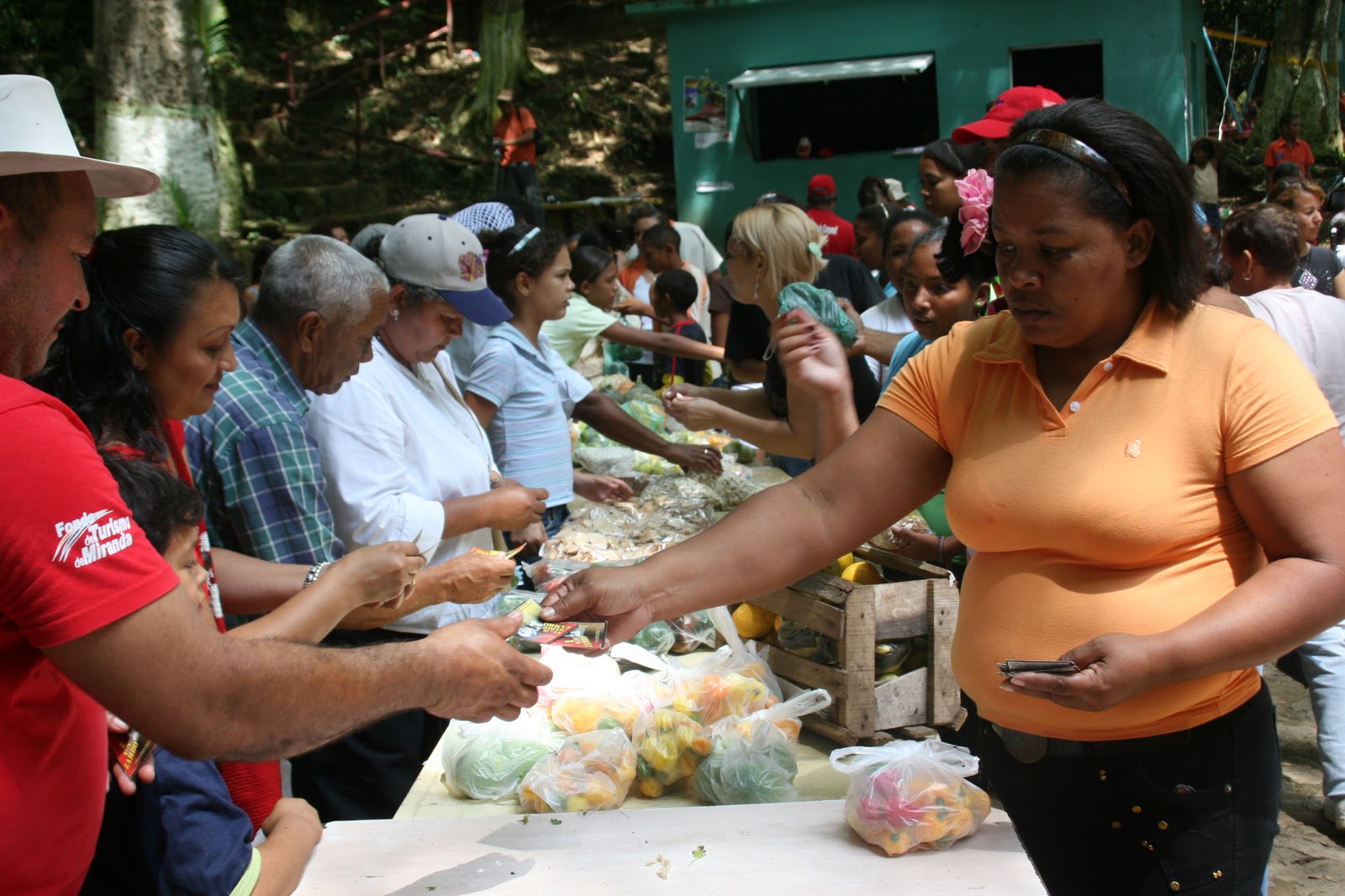 RED NACIONAL DE SISTEMAS DE TRUEKE: LA HISTORIA DE LOS SISTEMAS DE ...