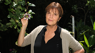 Cine Latino: María Novaro, reconocida en España como "la más exitosa ...