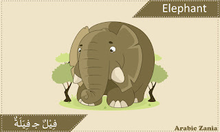 Animals Names in Arabic With Picture - ARABICZANIA