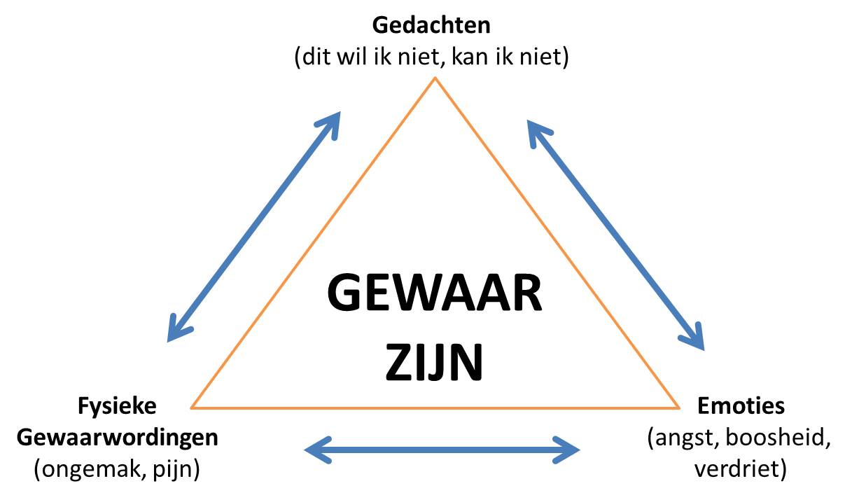 Driehoek van gewaarzijn, ingang naar het nu - Coaching & Mindfulness ...