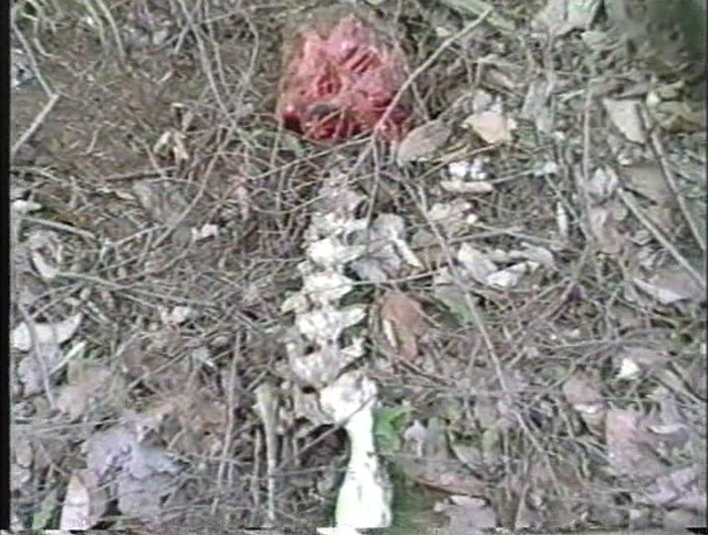 kocham dziwne kino: Splatter Farm (1987)