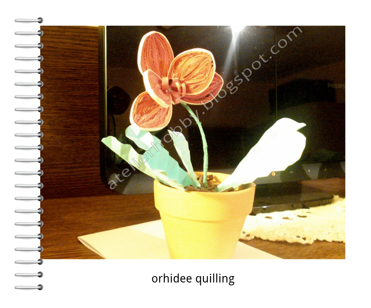 Flori quilling 3D Ghiocei si Orhidee | Handmade Atelier