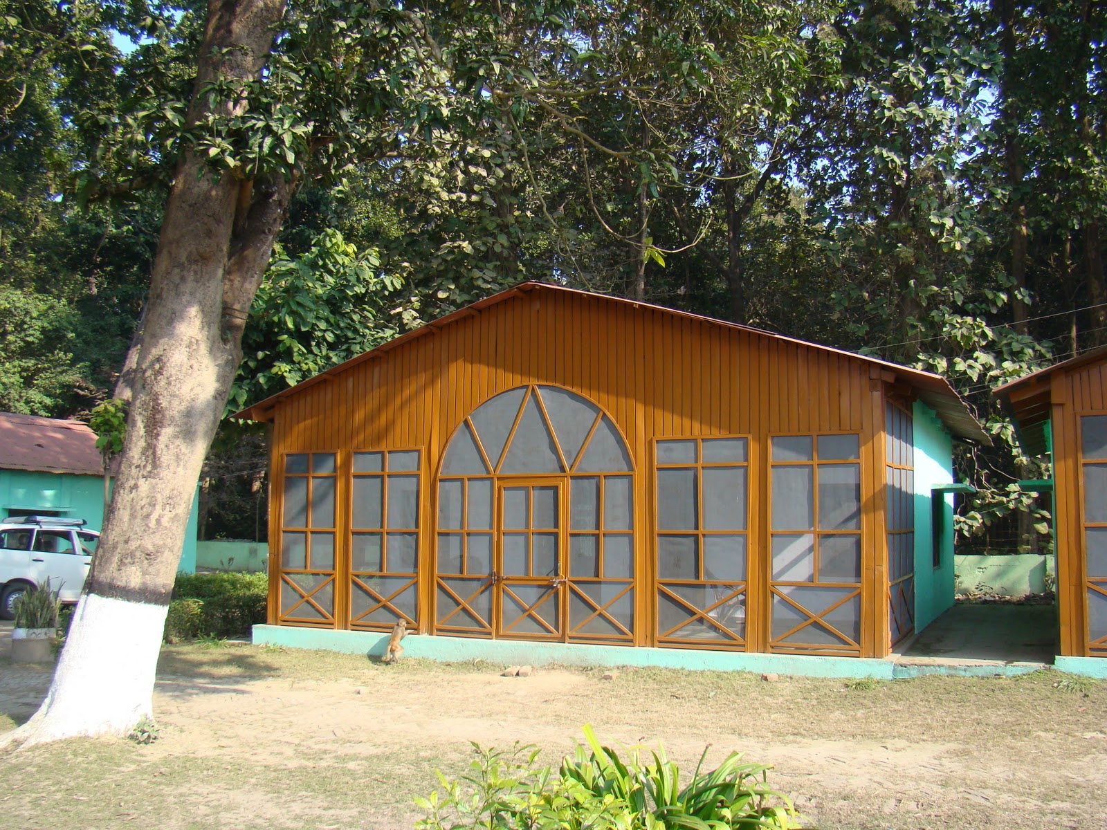 Dudhwa National Park: Dudhwa National Park