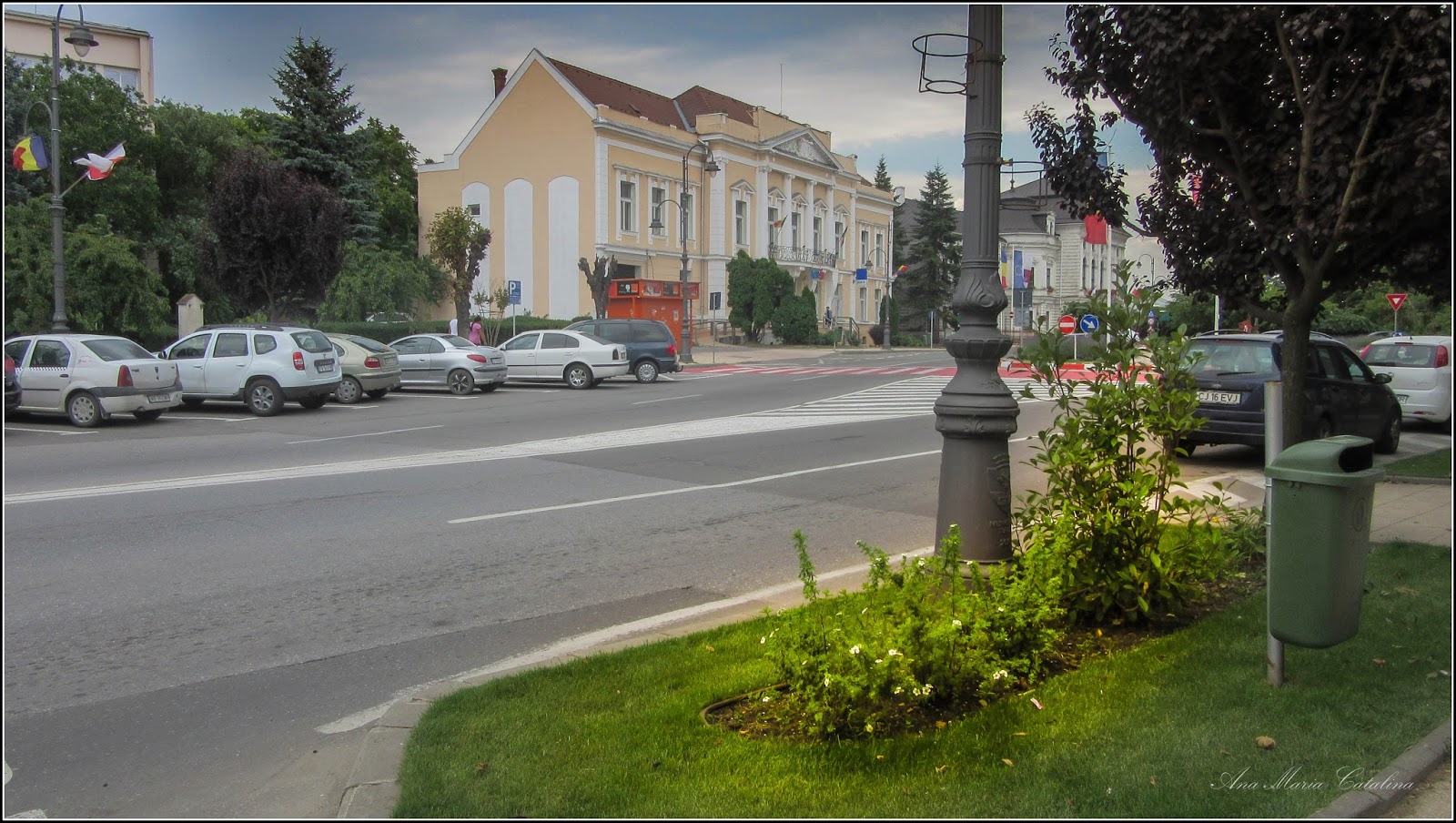Lumea văzută din Turda: Coada racului (Potentilla Fructicosa Limelight)