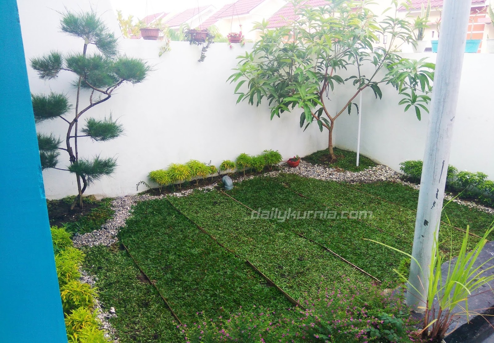 DIY Membuat rumput taman lapangan bola