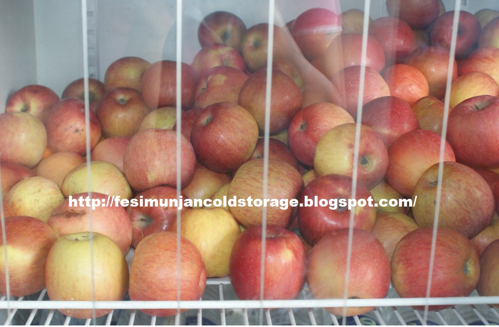 FE SIMUNJAN COLD STORAGE: May 2011