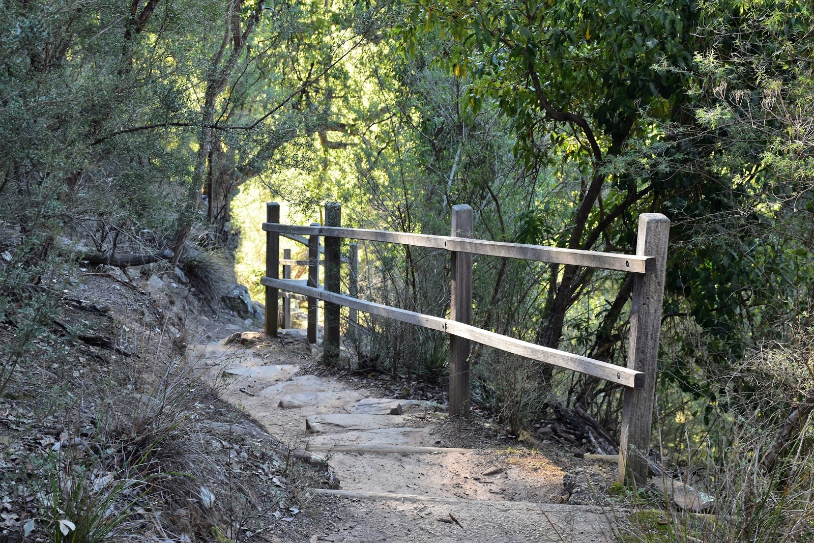 Goin' Feral One Day At A Time: Den of Nargun, Mitchell River National ...