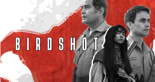 Show your love for local on Netflix with GoWATCH