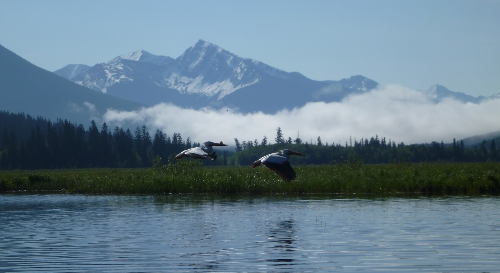 Beyond the Skyline: Bowron Lakes Chain: Am I a Proper Canoeist Now?
