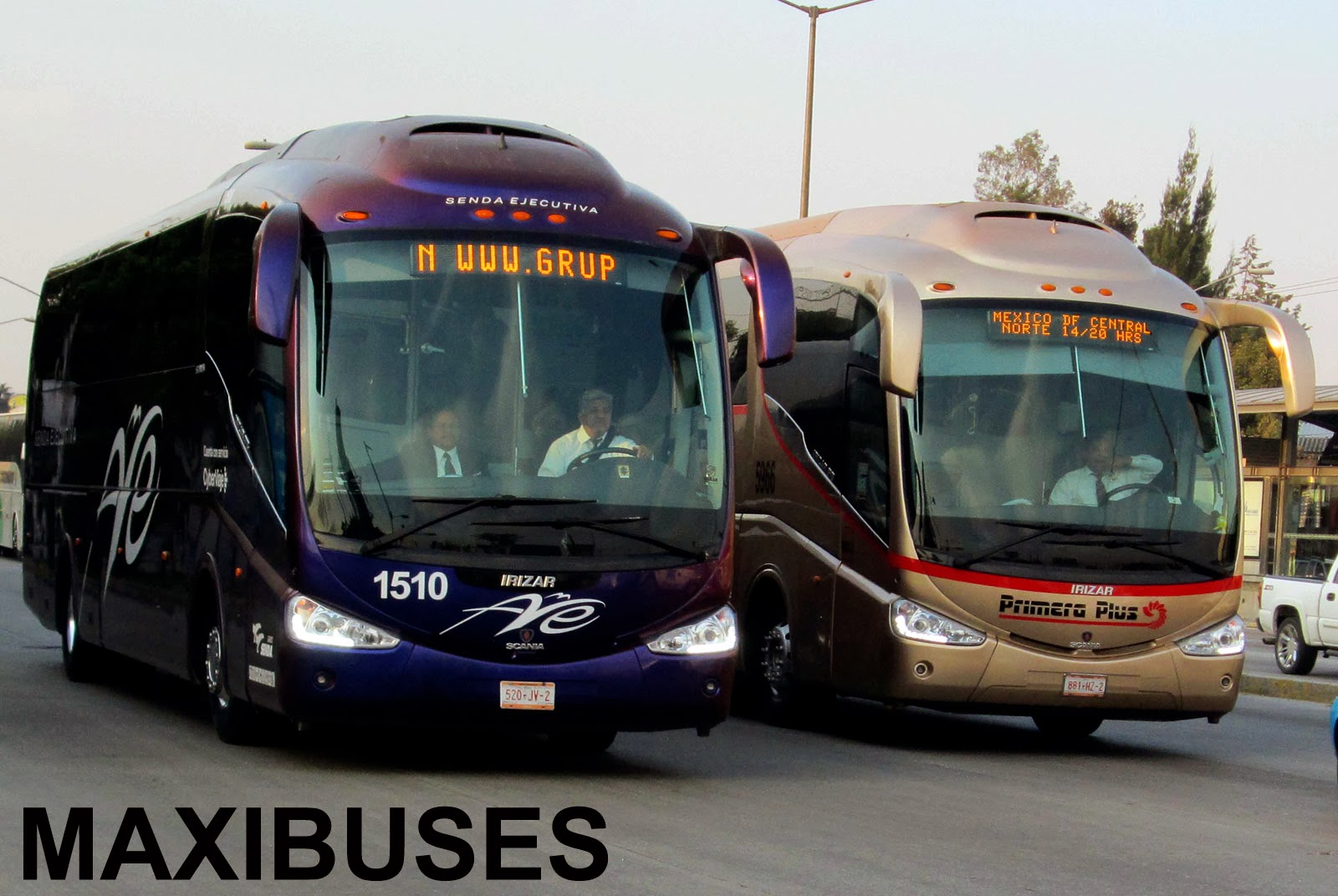 MAXIBUSES: AVE SENDA EJECUTIVA Y PRIMERA PLUS