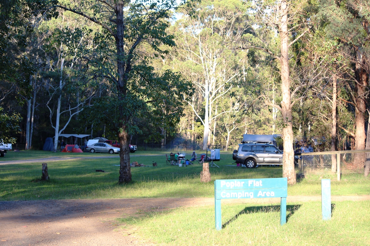 National Park Odyssey: Main Range National Park QLD: Goomburra Section.