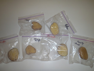 The Preschool Scientist: Germ Farm - Growing microbes from the environment