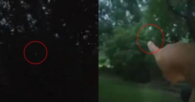 Strange Light Entity in the Woods