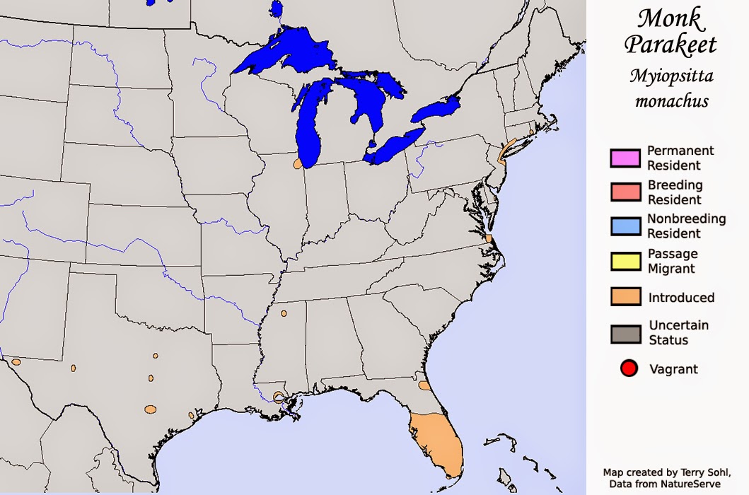 Monk Day - My First Little Big Year 2014