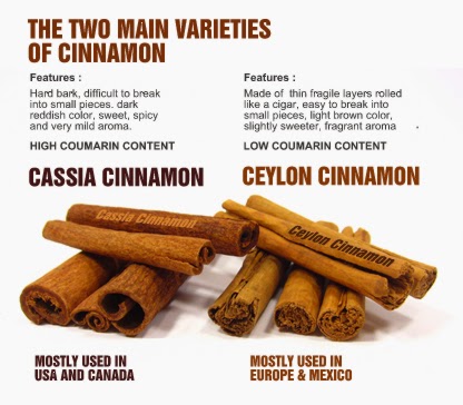 How to harvest cinnamon | La Gringa's Blogicito