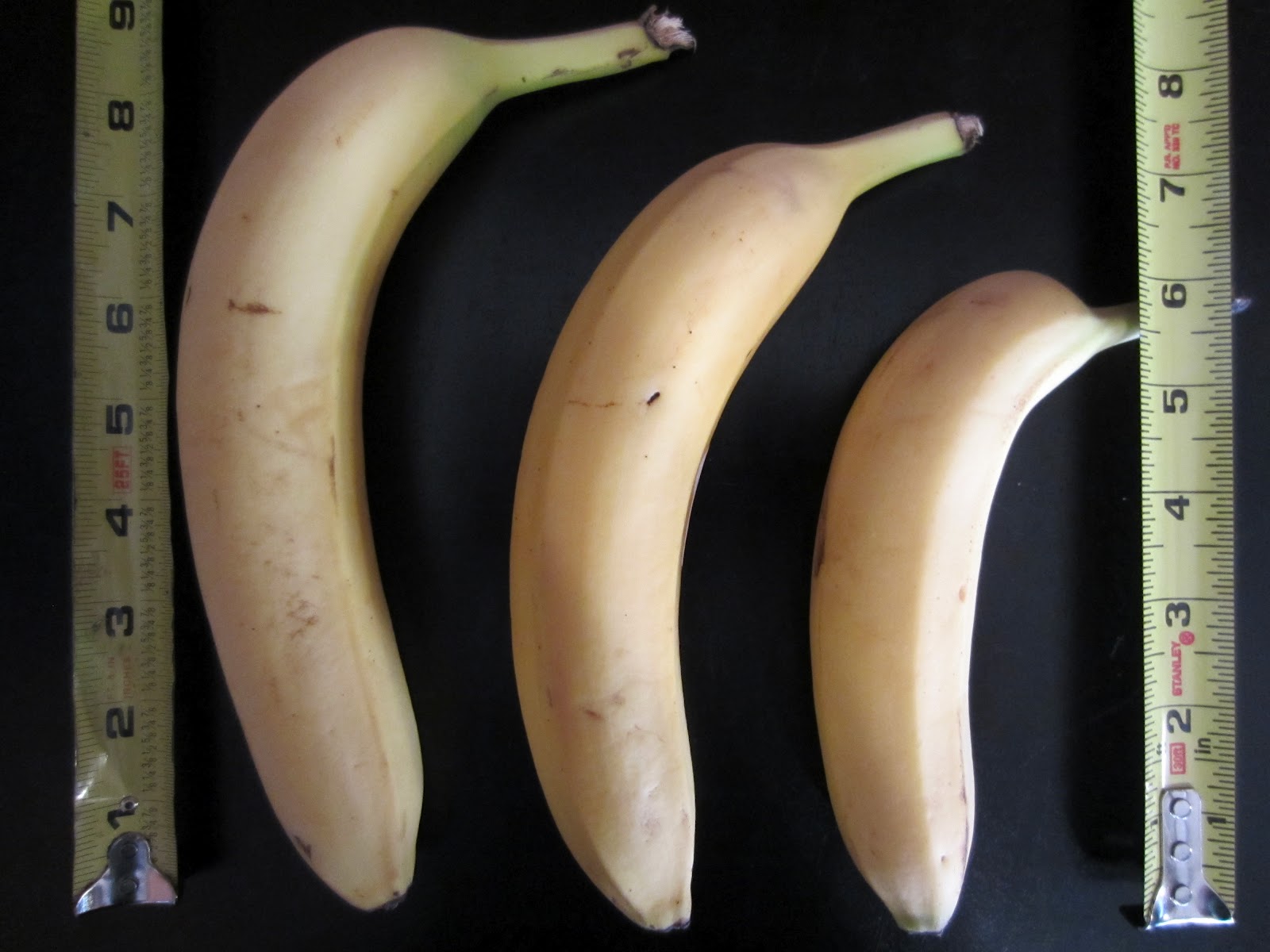 My son is here in a few weeks. Banana for scale. : r/Torontobluejays