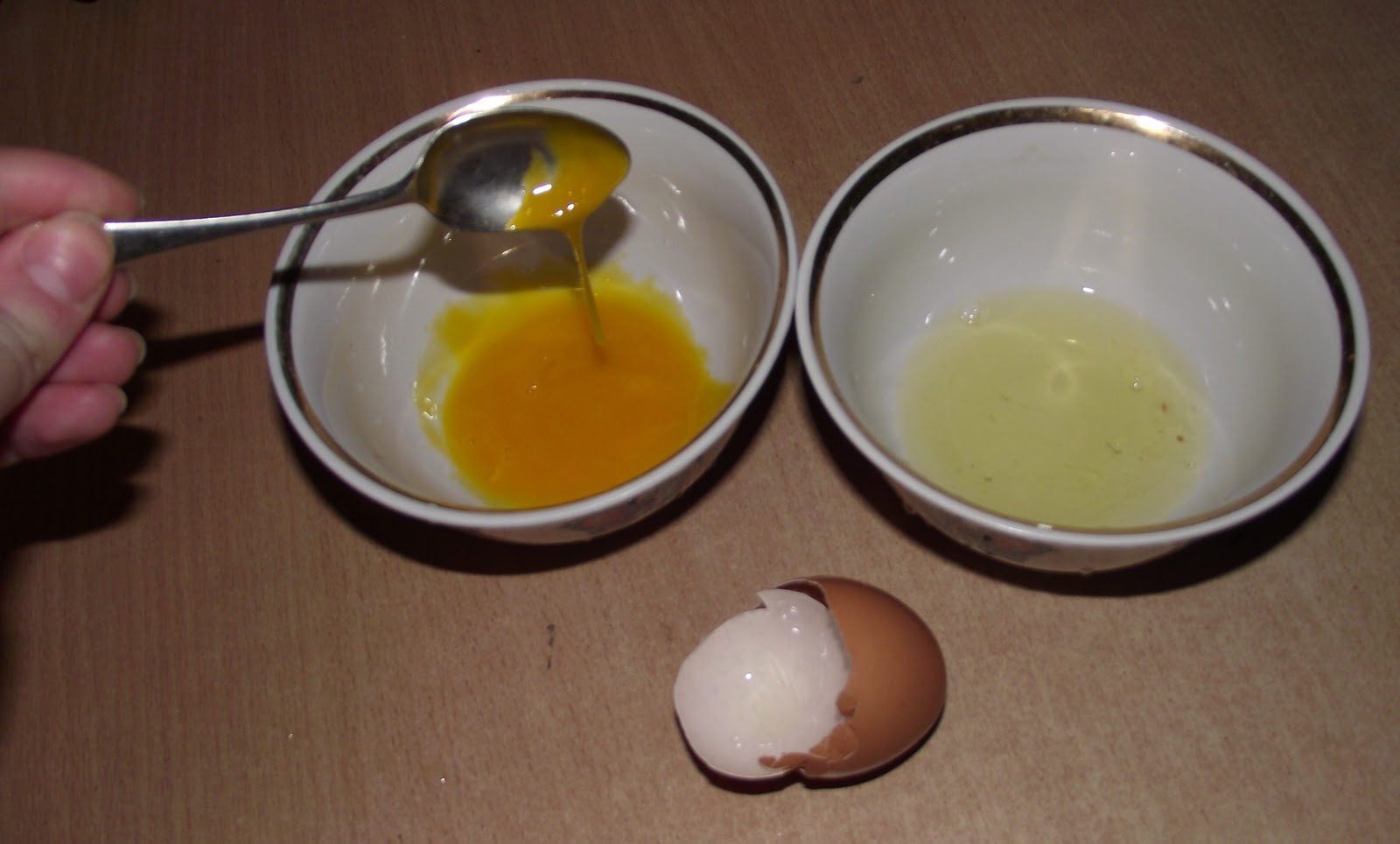 S.O.S.: Gamta mūsų draugė. Kiaušinio trynys