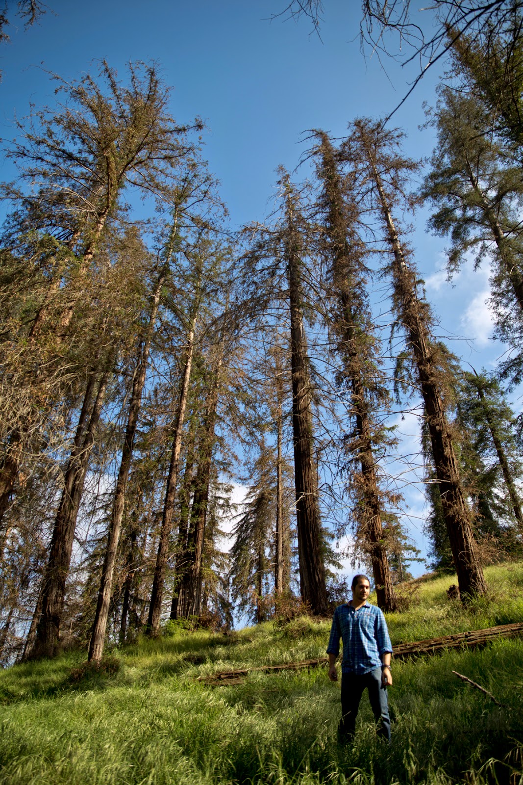 The Adventures of Ana : 112/365 - "Green Day" featuring Haylie Calvert