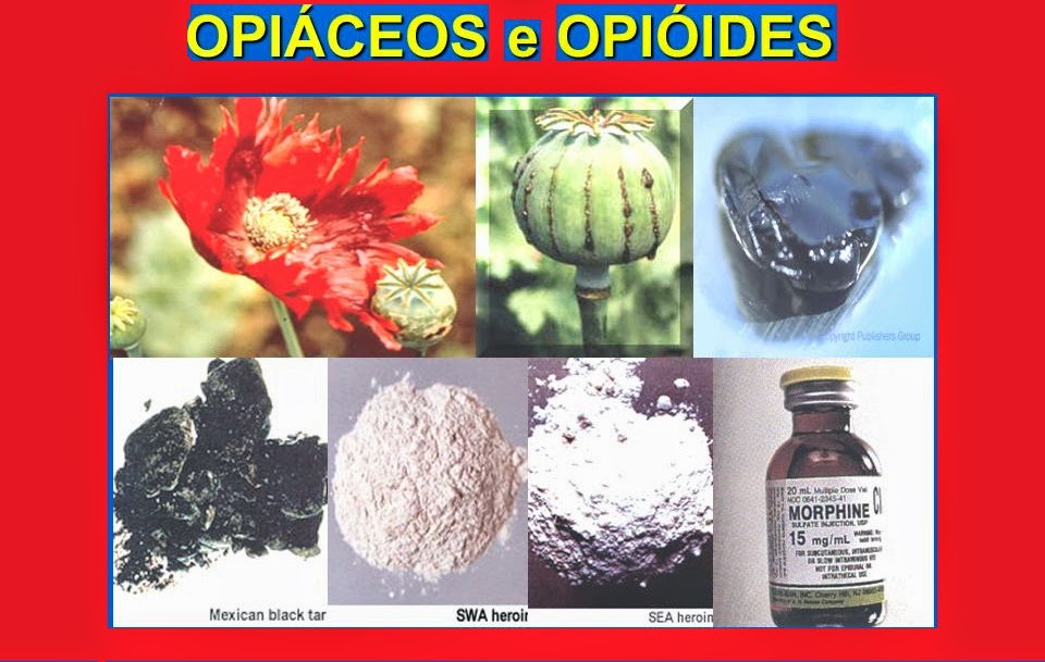SAÚDE DA FAMÍLIA BRASILEIRA: OPIÁCEOS E OPIOIDES