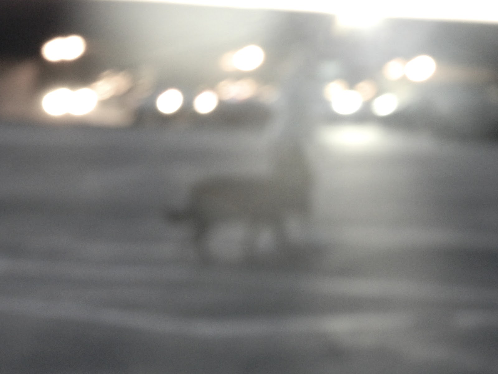 THE PAINTING WARD: Black and White, Obscure Photography