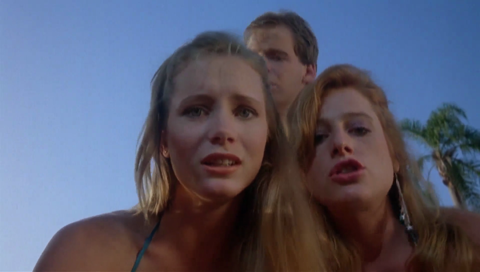 Brandon Fords B Movie Bonanza Spotlight Slumber Party Massacre Ii 1987