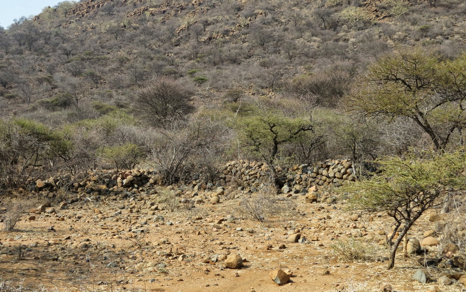 Murder is Everywhere: The Rise and Fall of Shoshong