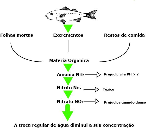 A vida de um Informático: O Ciclo do Azoto