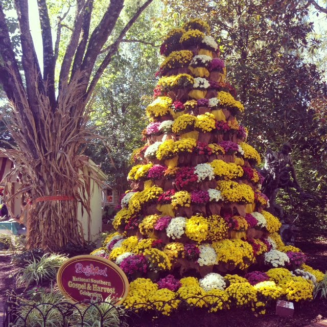 My Blissful Journey: Dollywood Photography From My iPhone