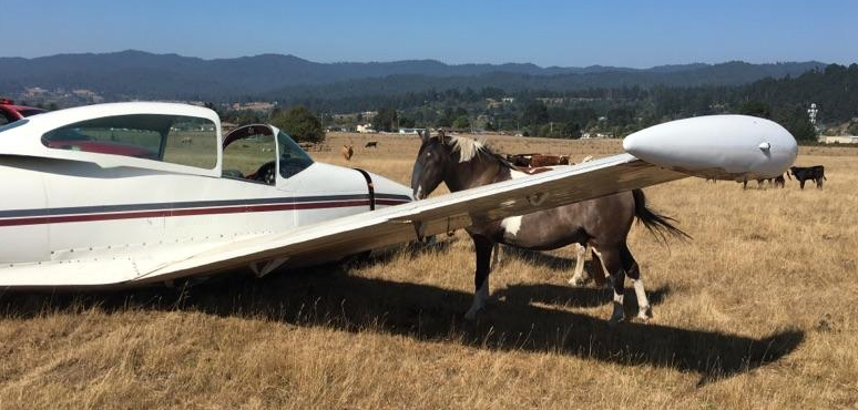 Kathryn's Report: Loss of Engine Power (Total): North American Navion A ...