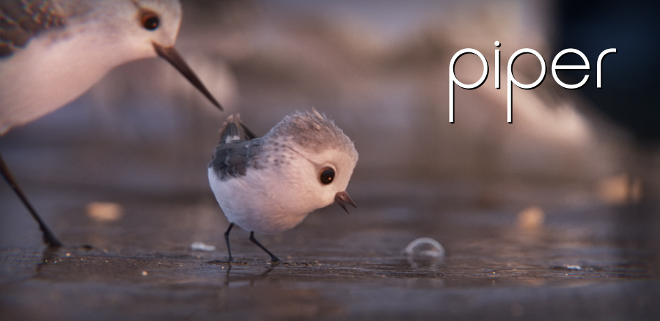 PIPER: NEW PIXAR'S SHORT FILM IS JUST ADORABLE - THE ENCHANTED BOUDOIR