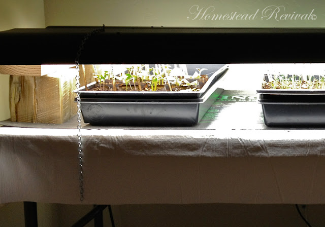 Homestead Revival: Seed Starting: Equipment