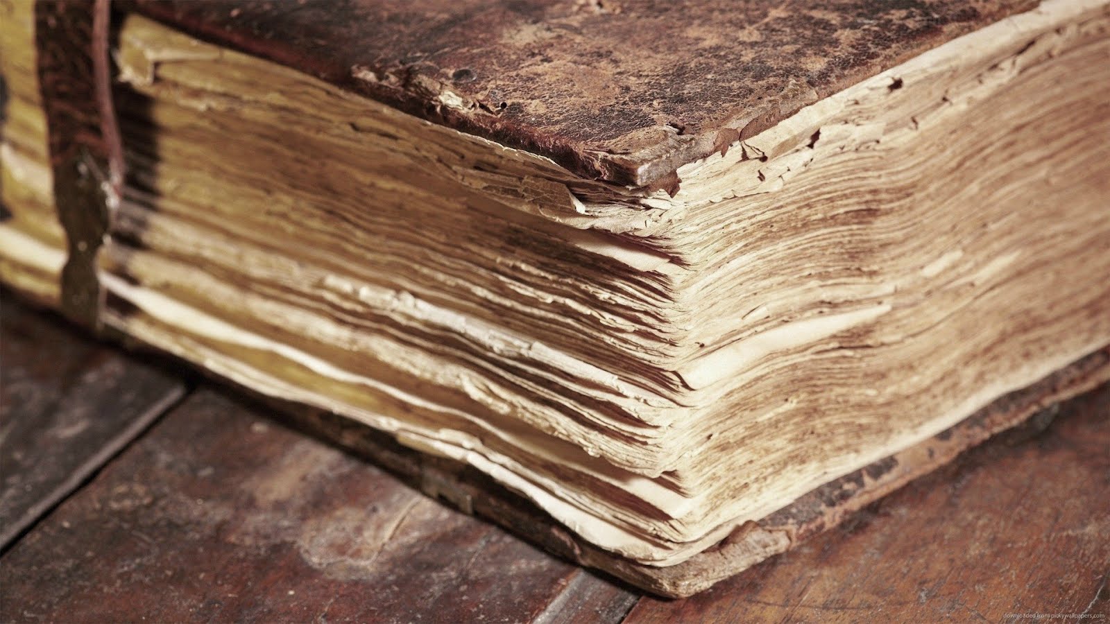 WTFBBQ: Old Book