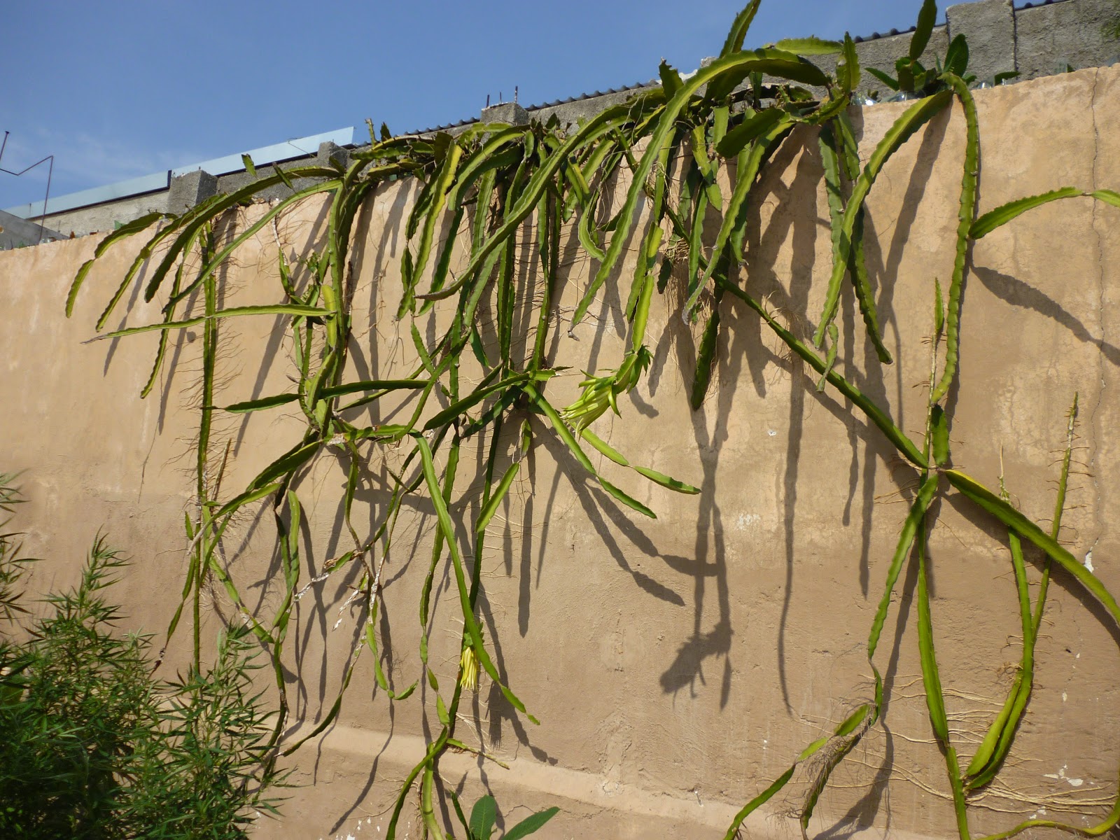 Blog Posts - datetracker