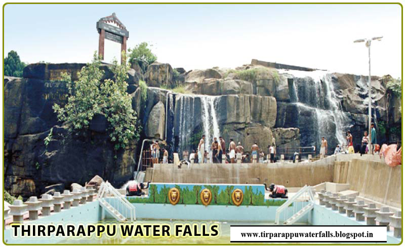 Tirparappu Water Falls: Falls Image