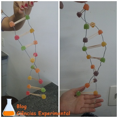 Ciências Experimental com Profa Renata: PRÁTICA MODELO DIDÁTICO DE DNA ...