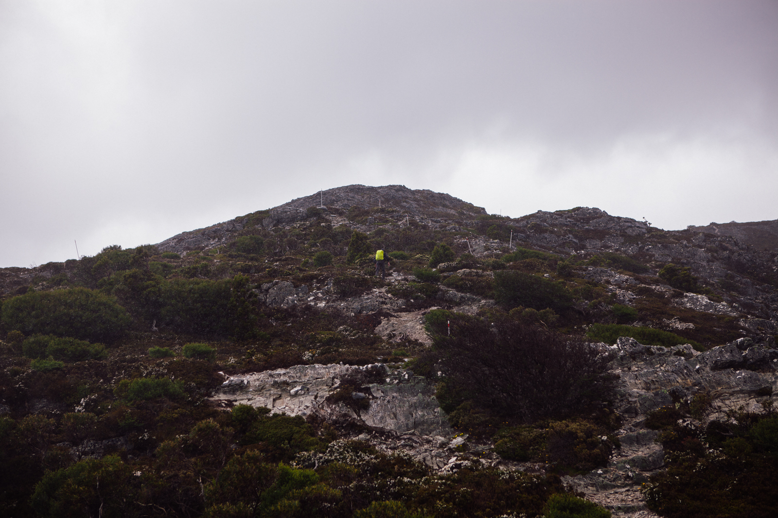 Blog - Camille Nathania: Tasmania: Wombat Pool & Marion's Lookout ...
