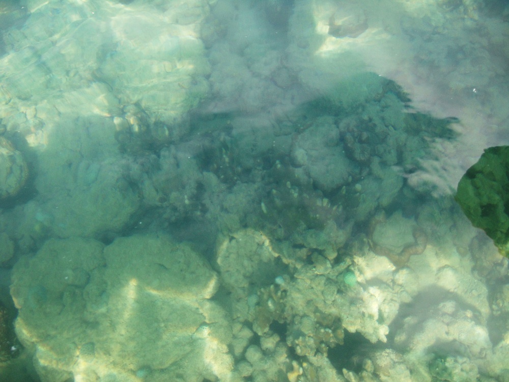 Mga Lakwacherang Doktora: Surviving Surima: Where to Stay and Places to ...