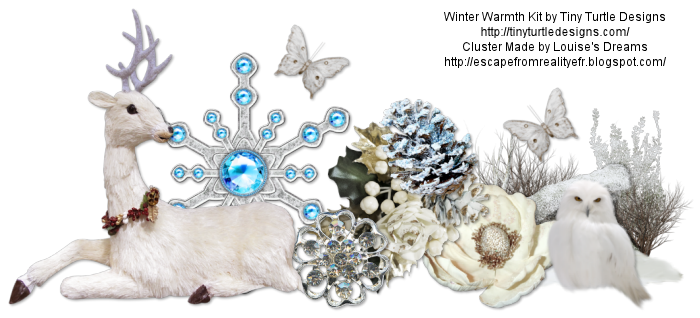 Escape From Reality Blog: FTU 'Winter Warmth' Cluster & Cluster Frames