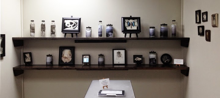 Into the Studio: Gallery 291 - Installation Shots