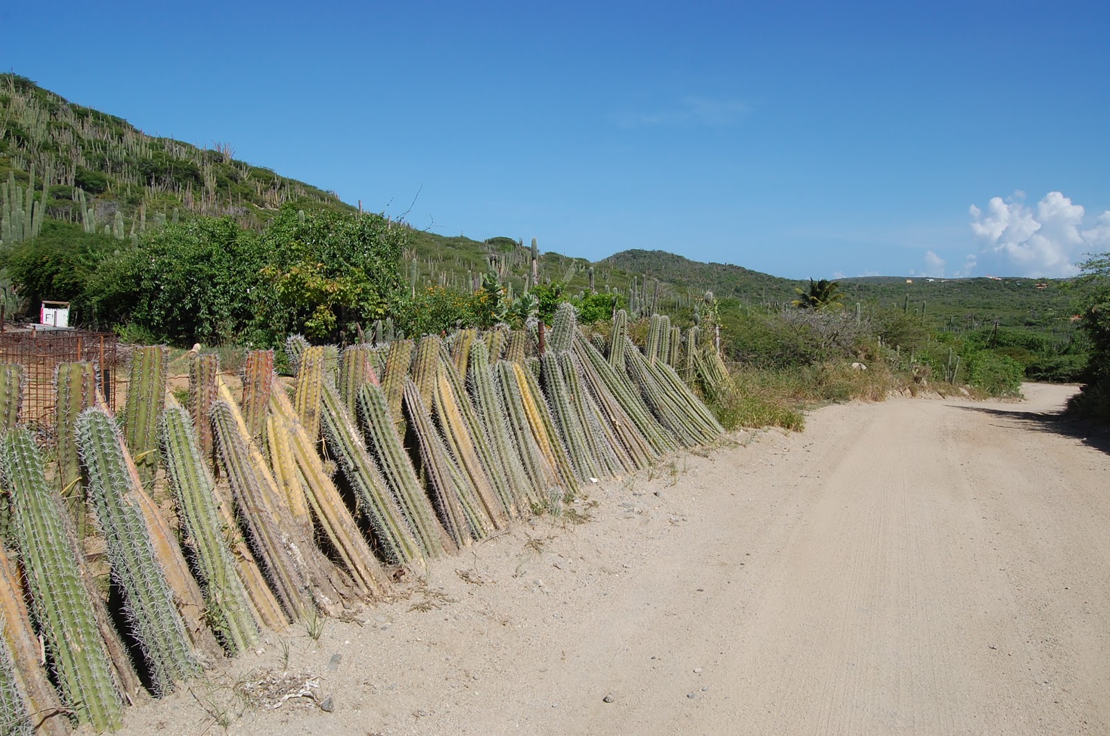 Rich Harrill's Aruba: Ayo Rock Formations