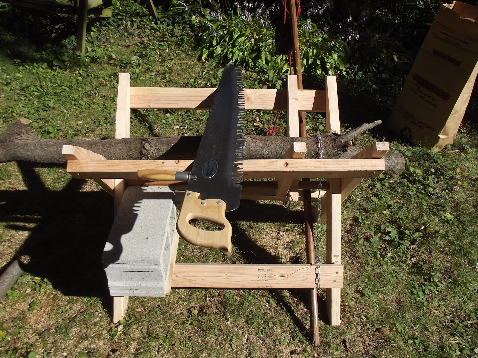 Virid Views: saw buck