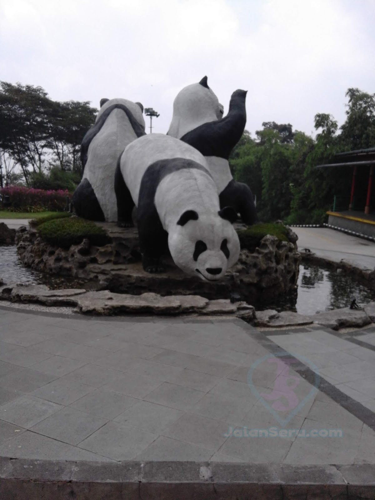 Yuk Kunjungi Duo Panda Di Istana Panda Taman Safari Cisarua Bogor ...