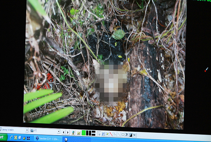 Anything about Everything: Caylee's skull and other pictures are shown