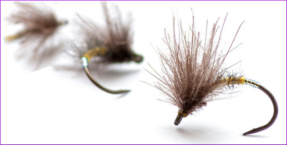 Fly Fishing In Yellowstone National Park: A Lowland Migration