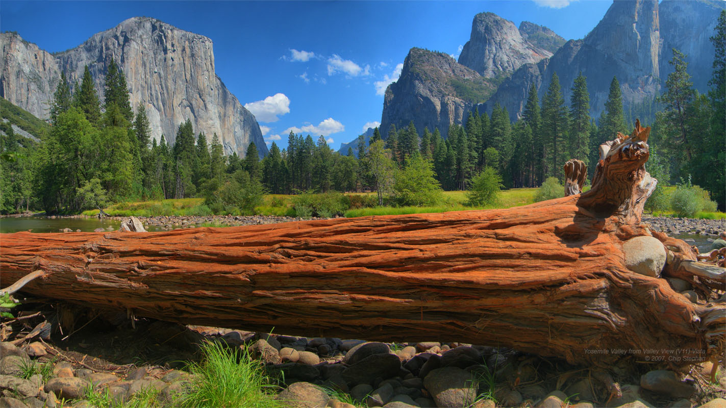 Yiming Song UNSW Arch