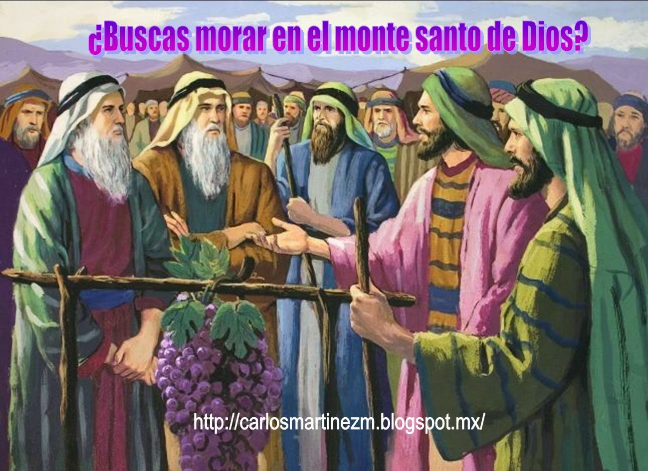 Aprendiendo la Sana Doctrina: ¿BUSCAS MORAR EN EL MONTE SANTO DE DIOS?